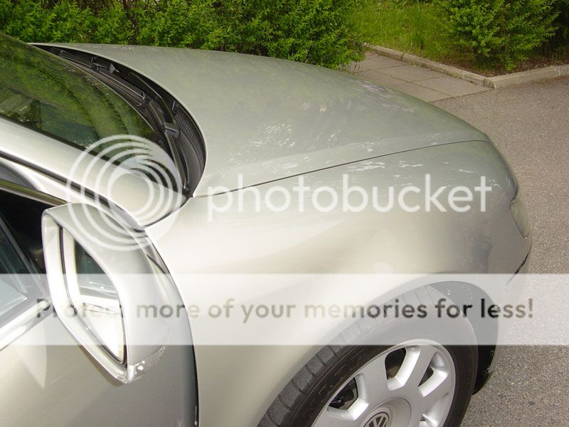 Papillon Silver (Butterfly Silver) Heliochrome Paint - VW Individual ...